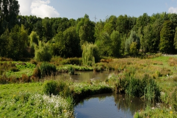 Using data to put wetlands to work | WWT